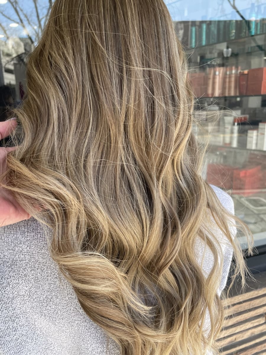 Single-Process Color | Book Online | Essence Salon